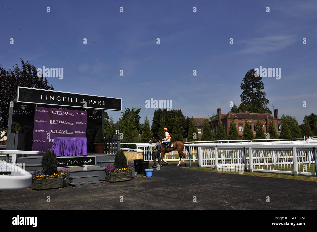 Horse Racing - Lingfield Park Racecourse Stock Photo - Alamy