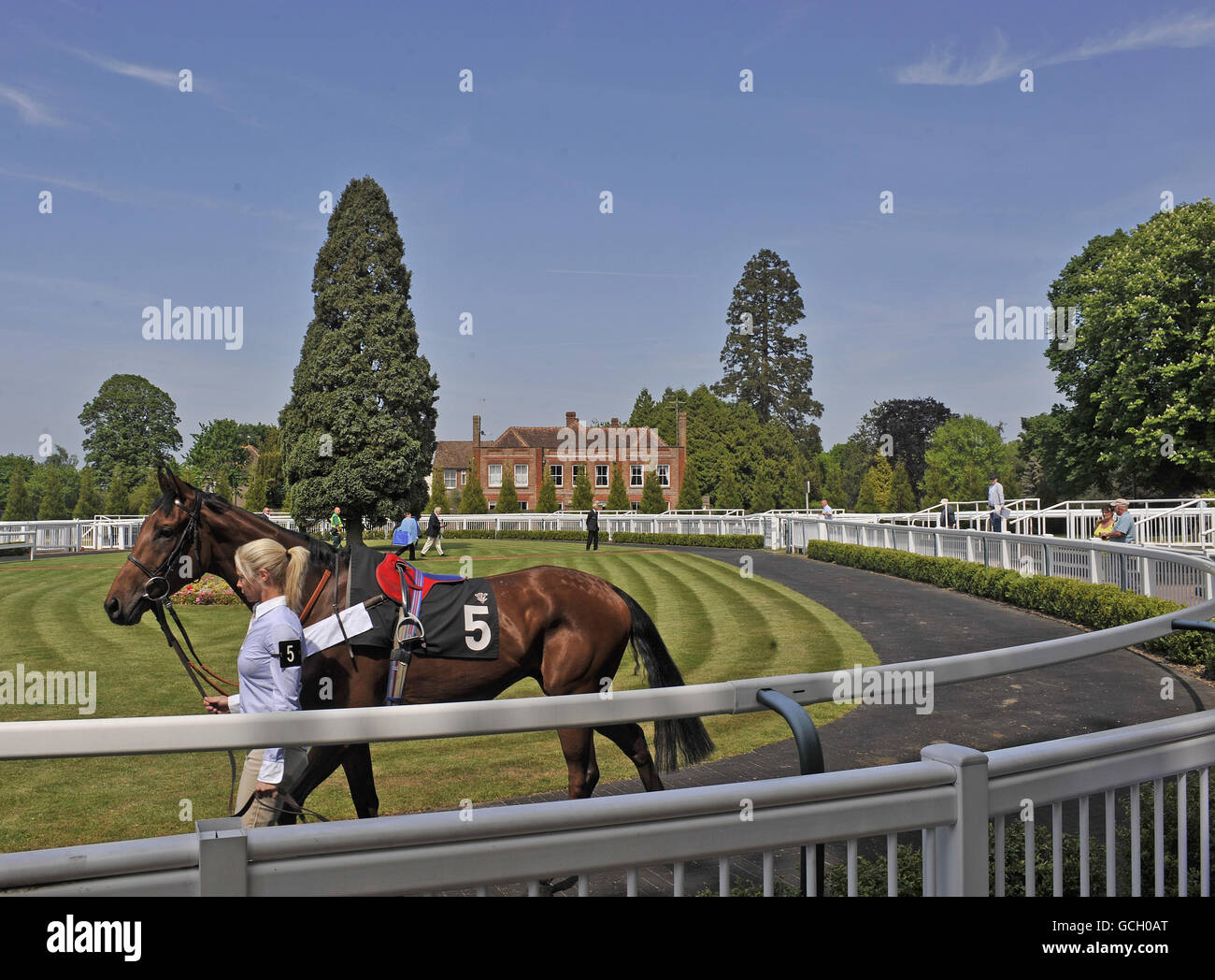 Horse Racing - Lingfield Park Racecourse Stock Photo - Alamy