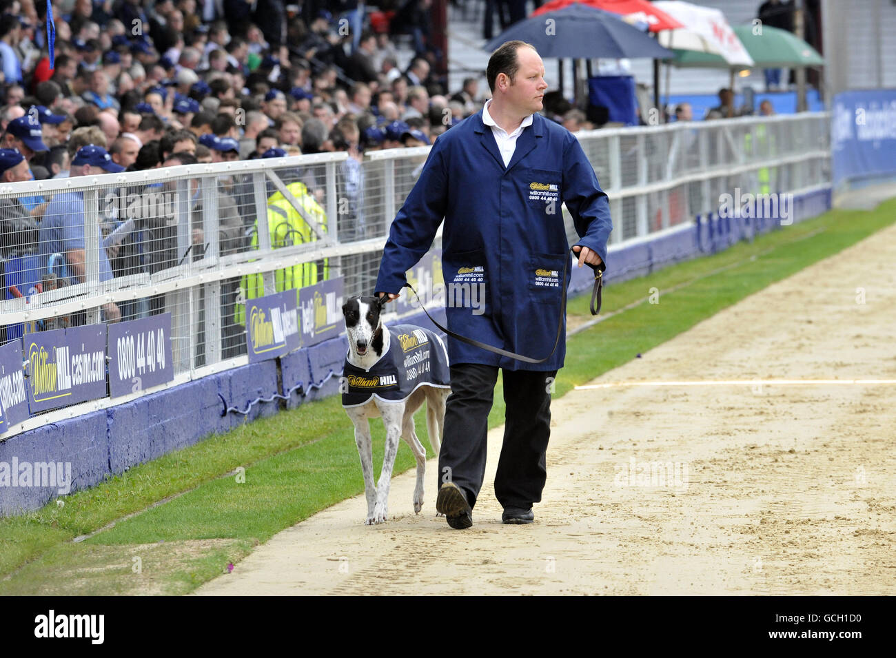 A competitor arrives on the track during the Wimbledon Greyhound Derby ...