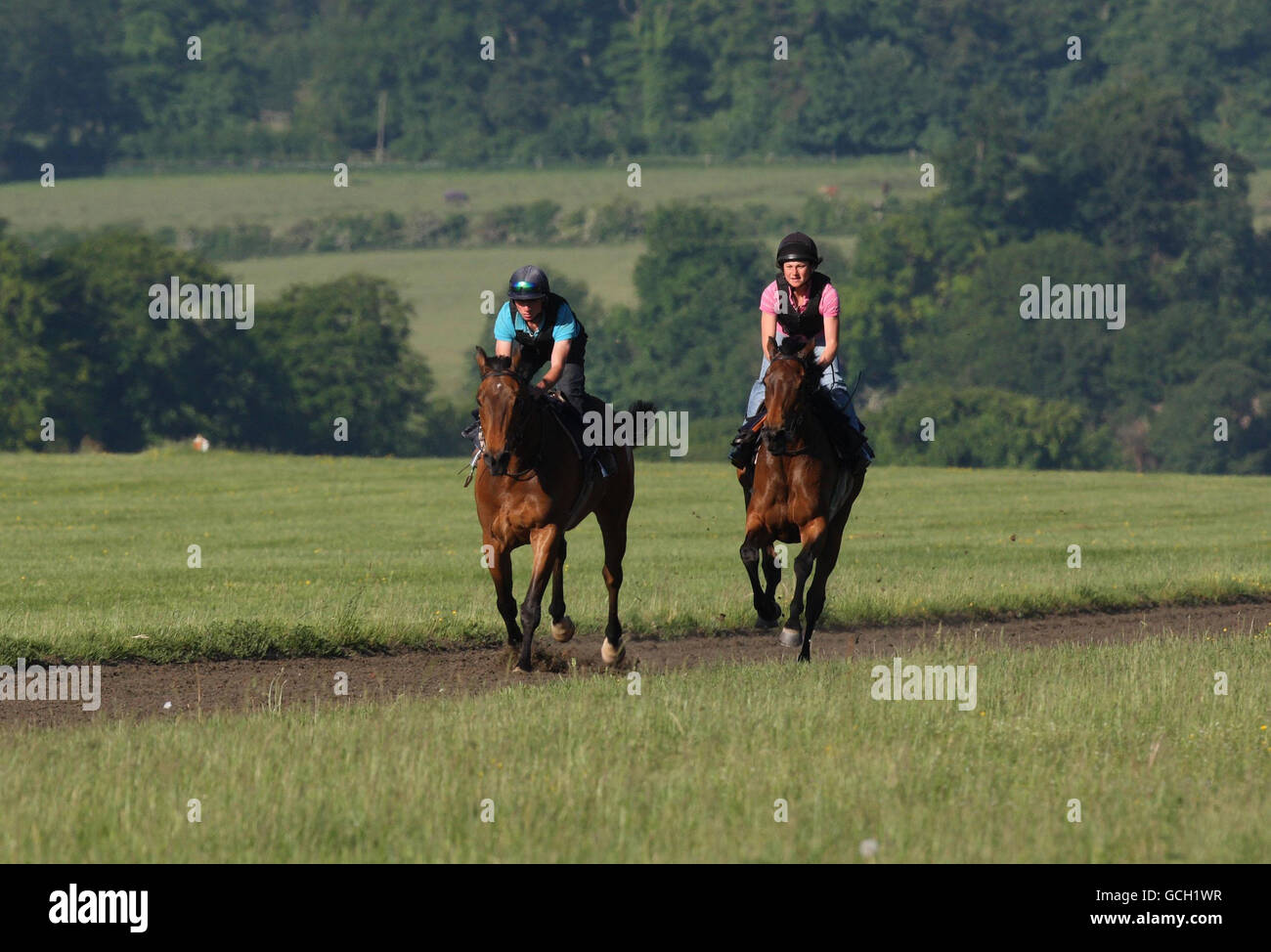 Horses train on gallops epsom downs racecourse hi-res stock photography ...
