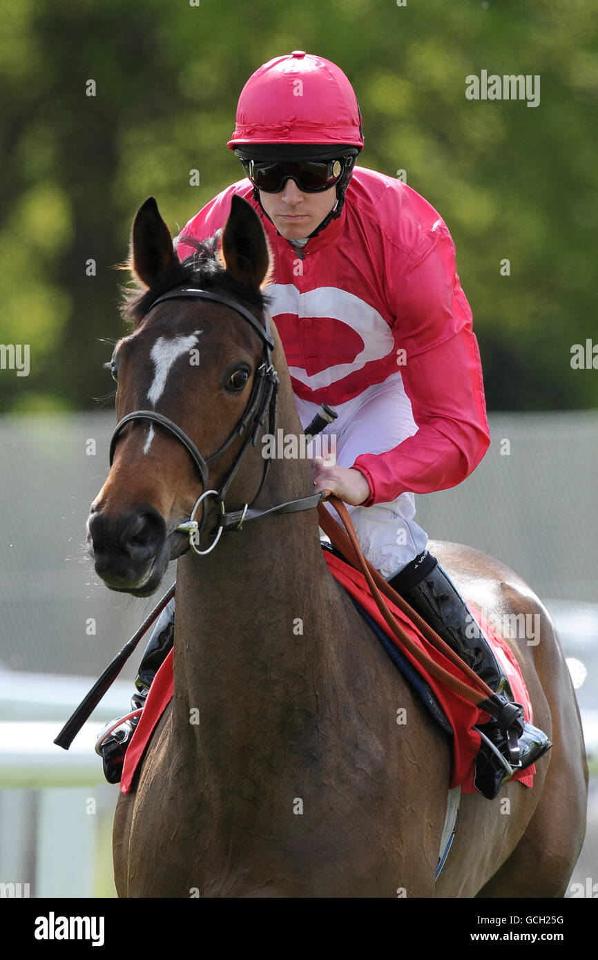 Zooter hi-res stock photography and images - Alamy