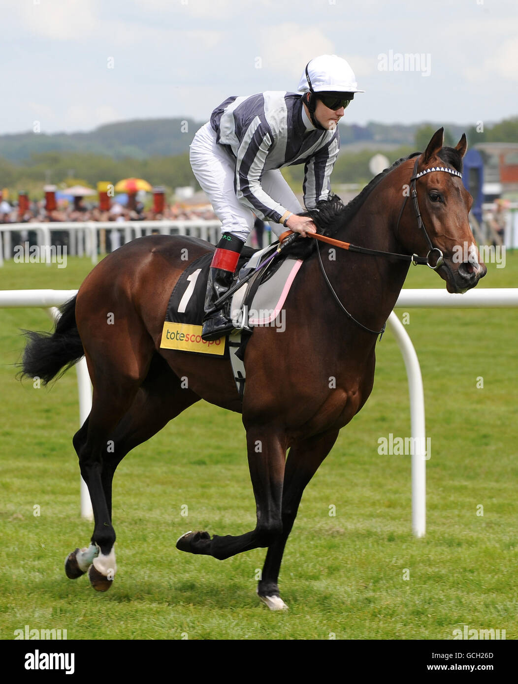 Totesport com gold cup day hi-res stock photography and images - Alamy