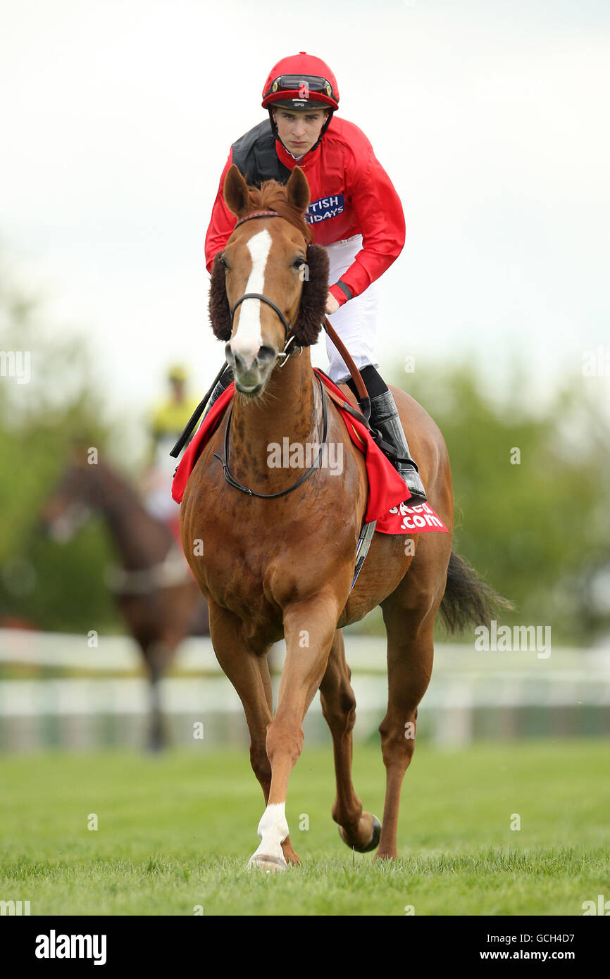 Horse Racing - Newmarket Racecourse Stock Photo - Alamy