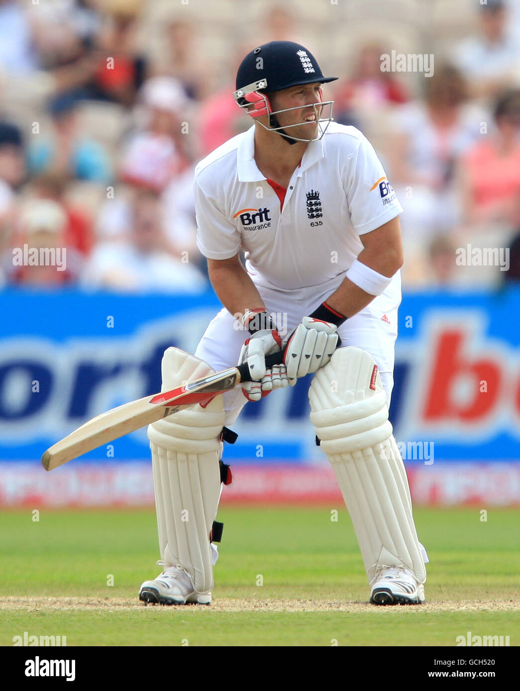 Matt the bat hi-res stock photography and images - Alamy