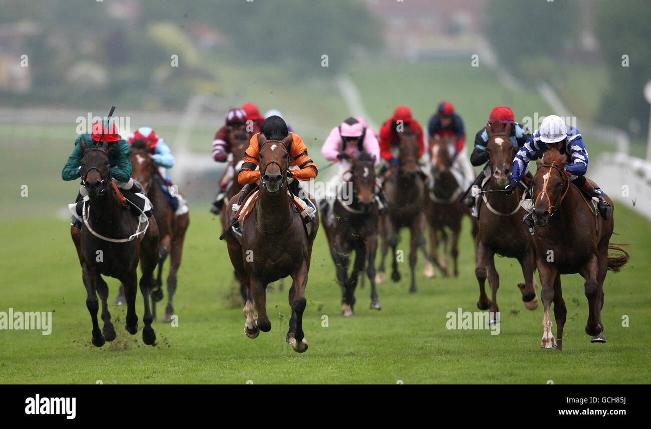 Horse Racing - Leicester Racecourse Stock Photo - Alamy