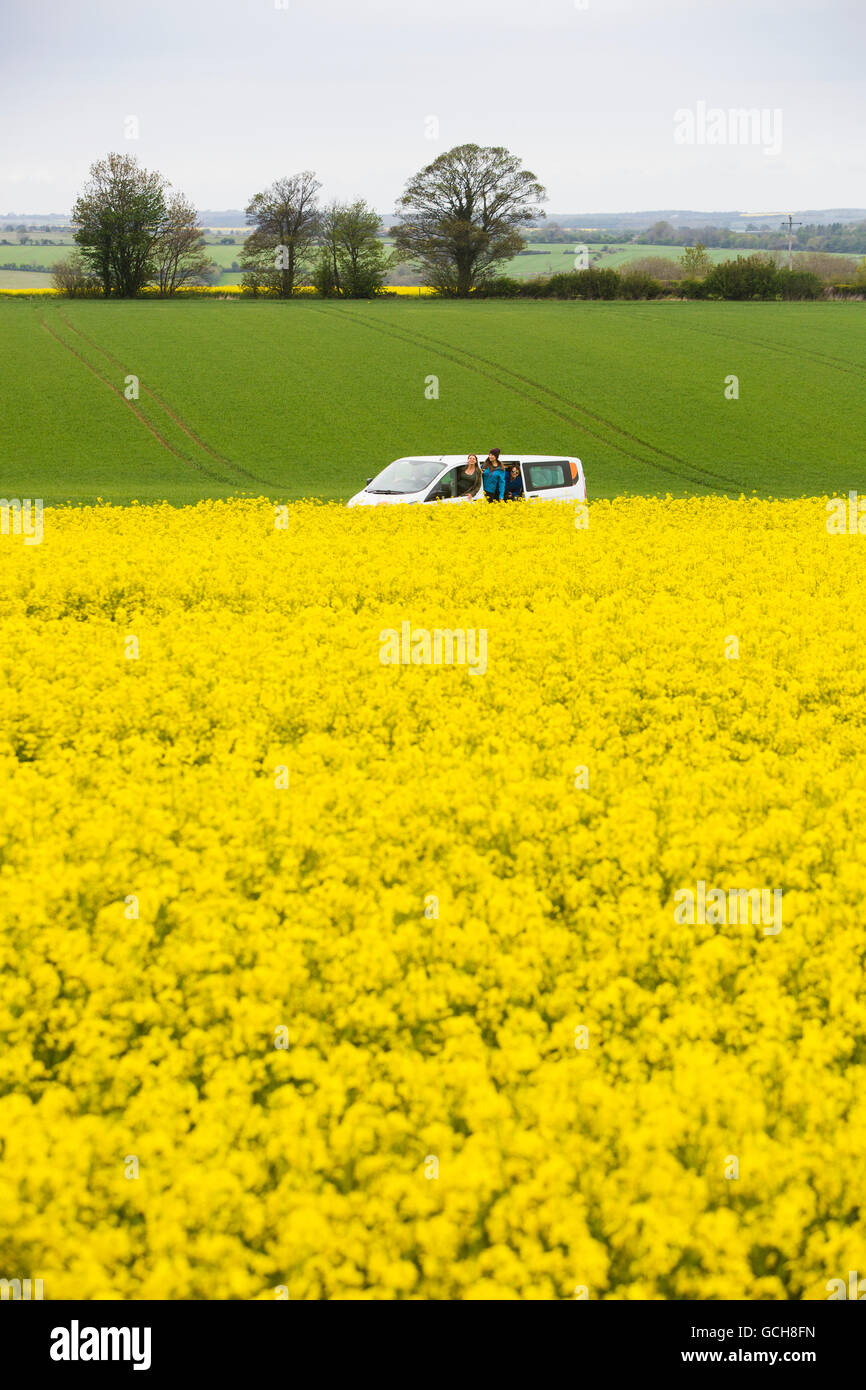 A drive through the English countryside which is covered in vibrant ...