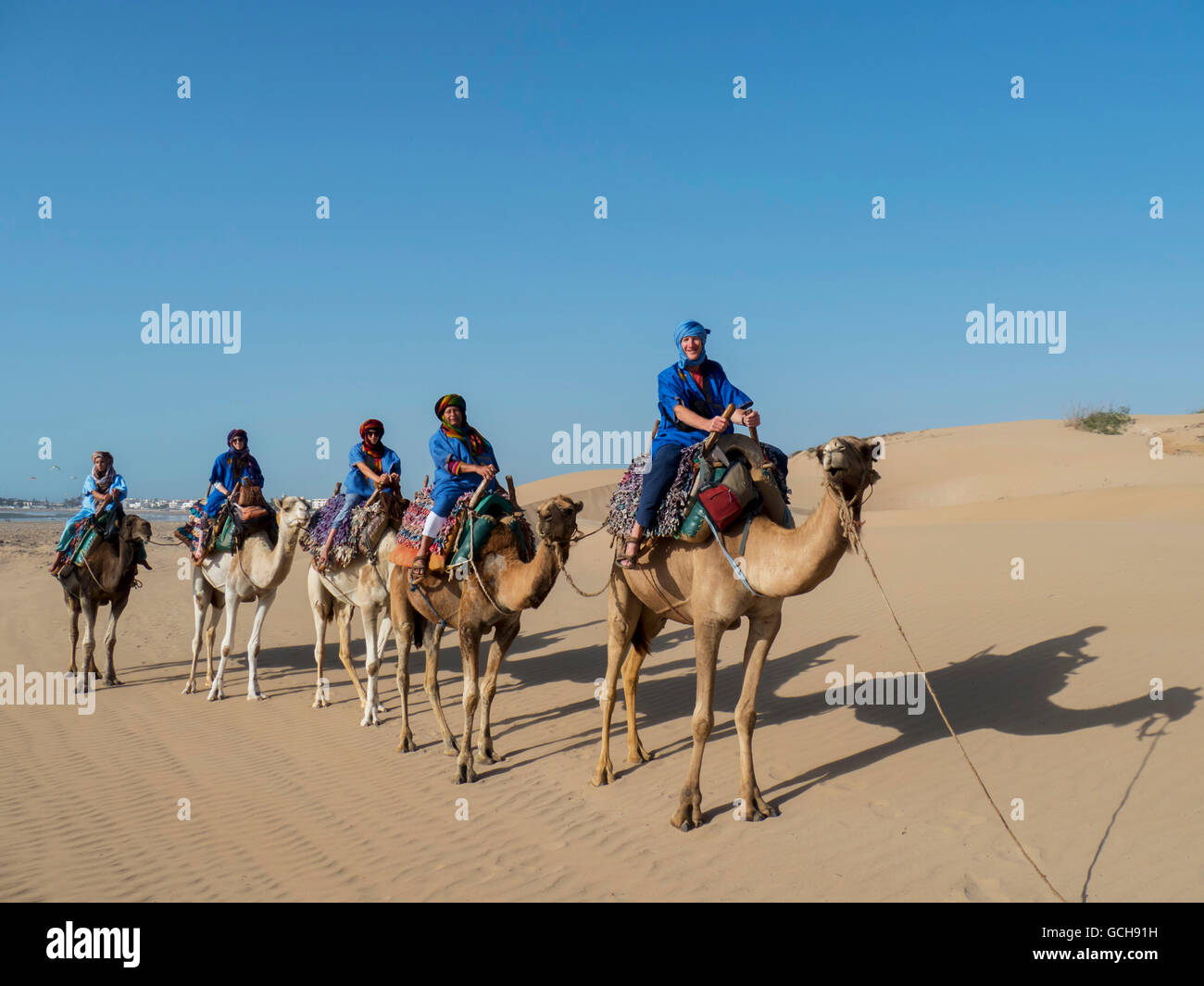 Camels sitting on beach hi-res stock photography and images - Alamy