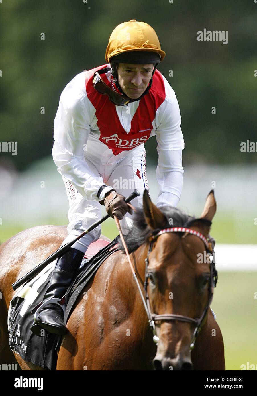 Equiano horse hi-res stock photography and images - Alamy