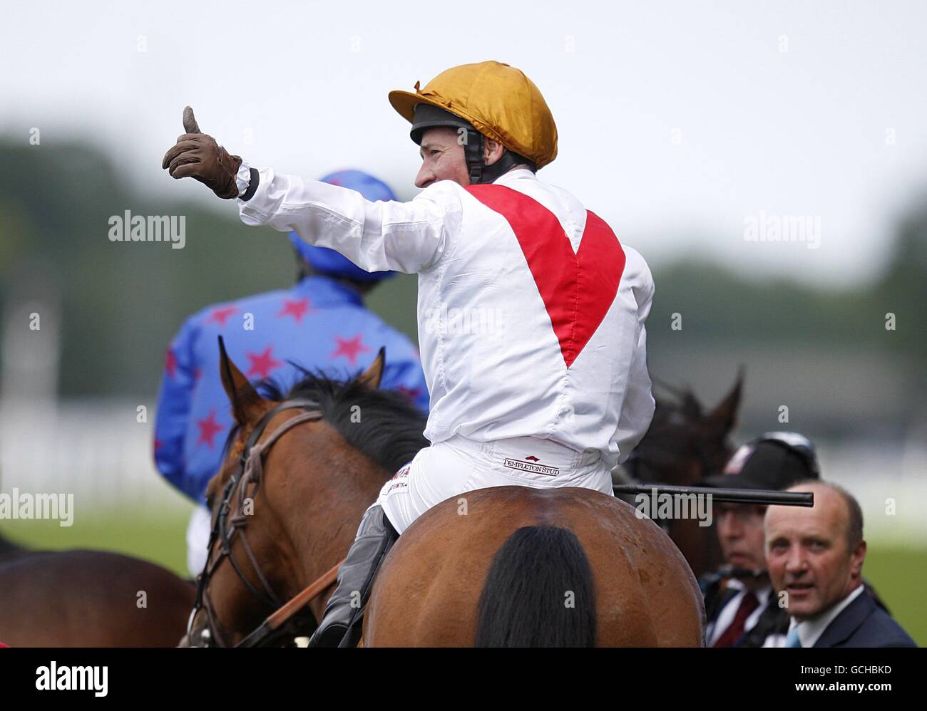 Equiano horse hi-res stock photography and images - Alamy