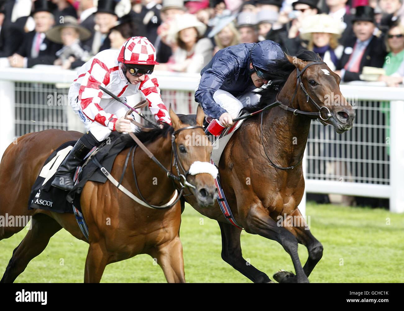 Petronius maximus hi-res stock photography and images - Alamy