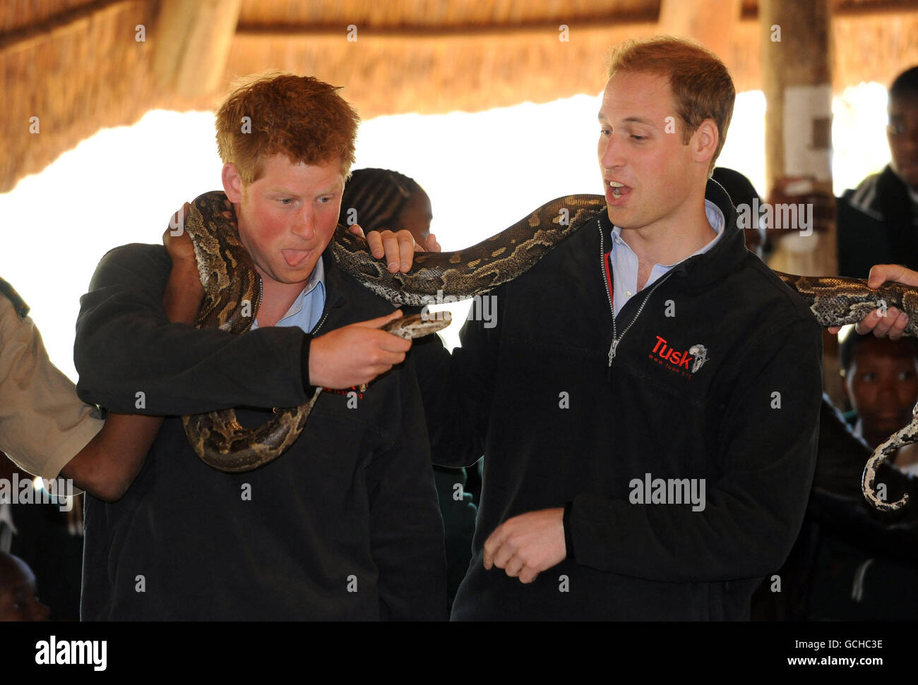 Prince Harry (left) and Prince William pose with a rock python as they ...