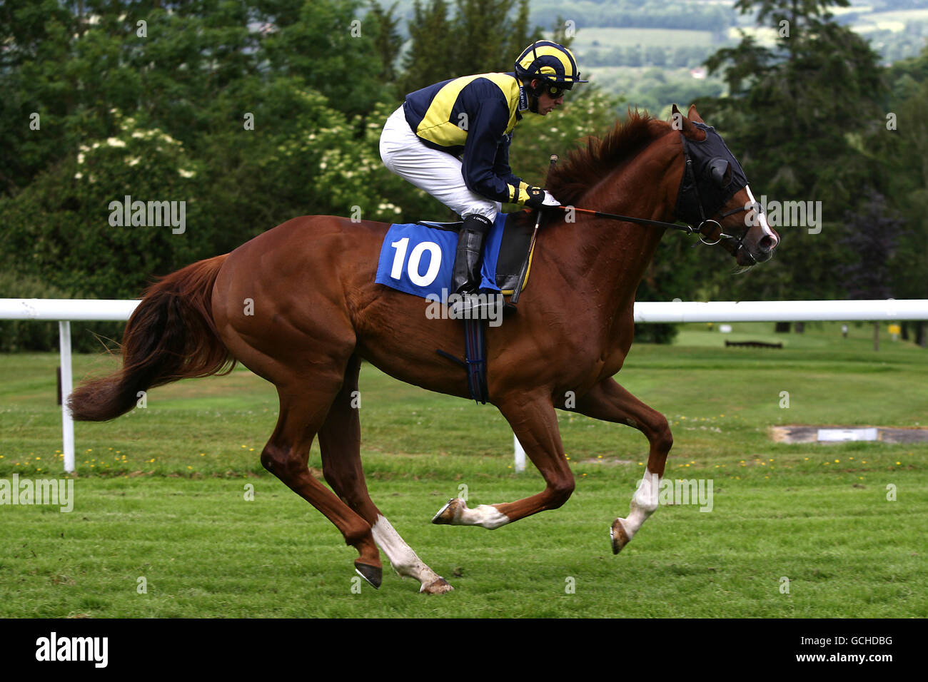Admin horse hi-res stock photography and images - Alamy
