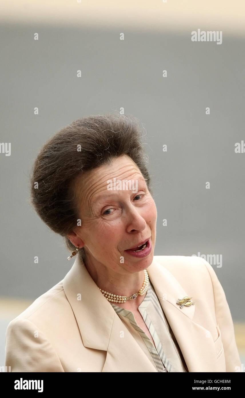 The Princess Royal arrives at the Royal Festival Hall, at the South ...