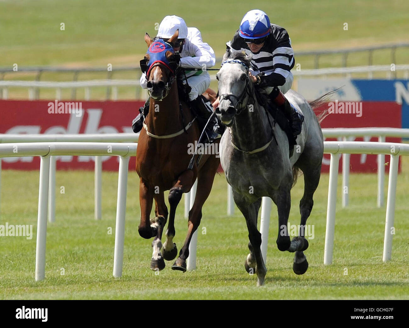 Racing curragh action jockey galloping mangsk hi-res stock photography ...