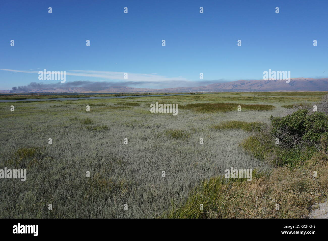 Smoke cloud in the east and south bay area from plastics recycling ...
