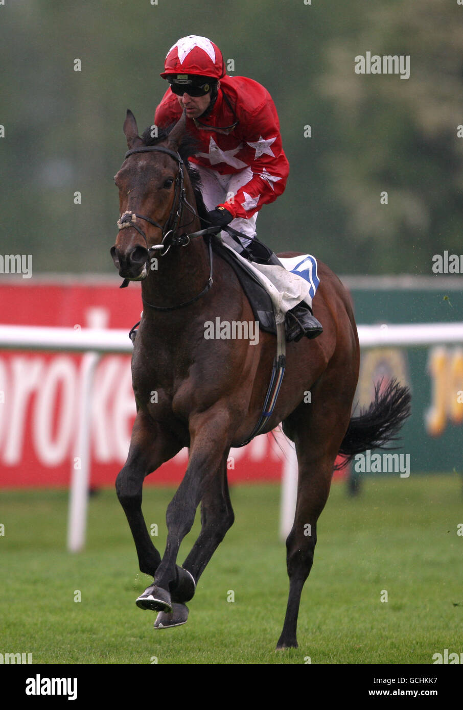 Horse Racing - Leicester Racecourse Stock Photo - Alamy