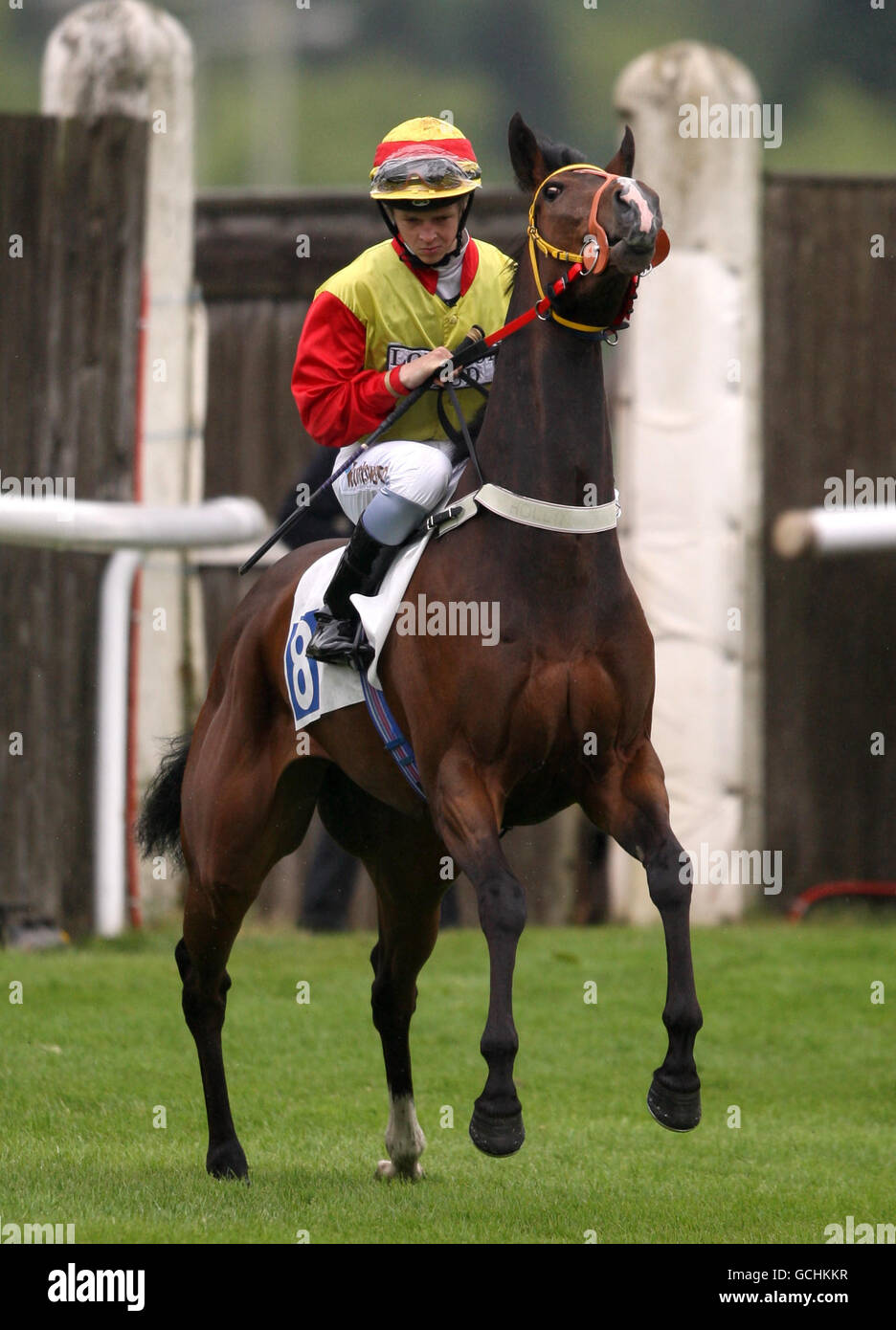 Horse Racing - Leicester Racecourse Stock Photo - Alamy