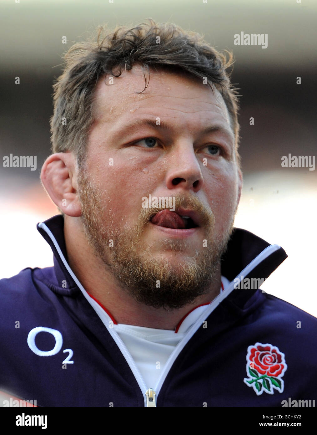 Steve thompson england rugby hi-res stock photography and images - Alamy
