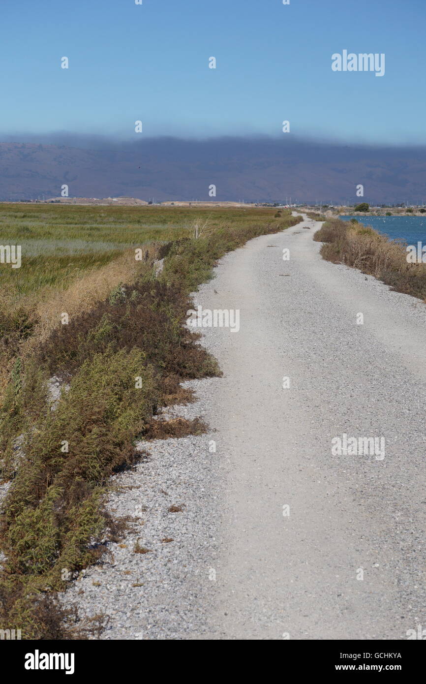 Smoke cloud in the east and south bay area from plastics recycling ...