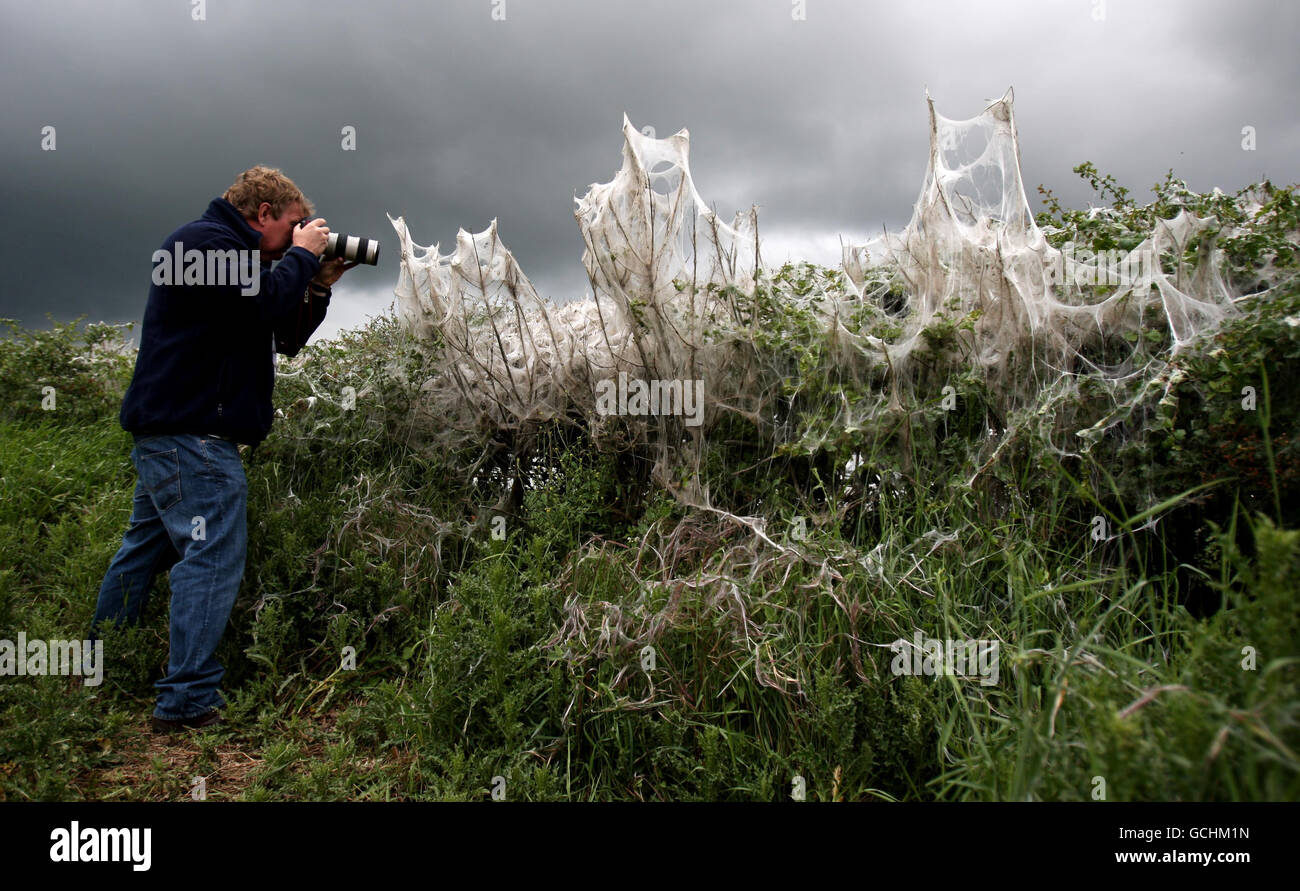 Photographer Chris Warner from Cambridge takes pictures of silk webbing ...
