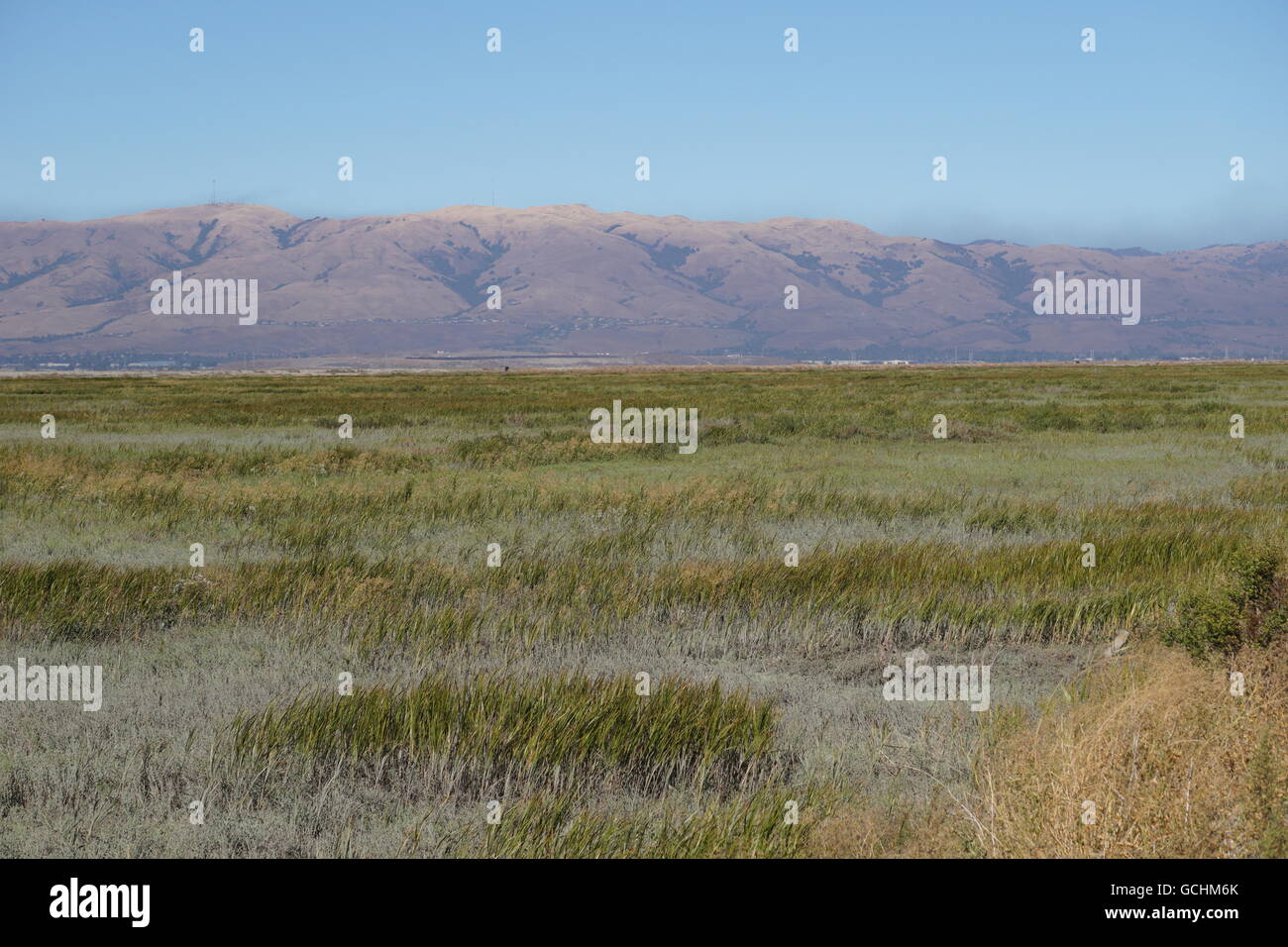 Smoke cloud in the east and south bay area from plastics recycling ...