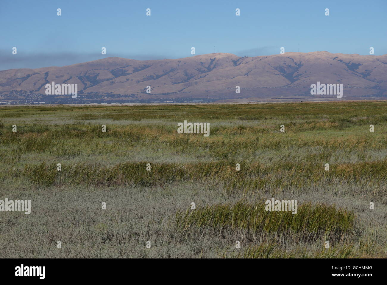 Smoke cloud in the east and south bay area from plastics recycling ...