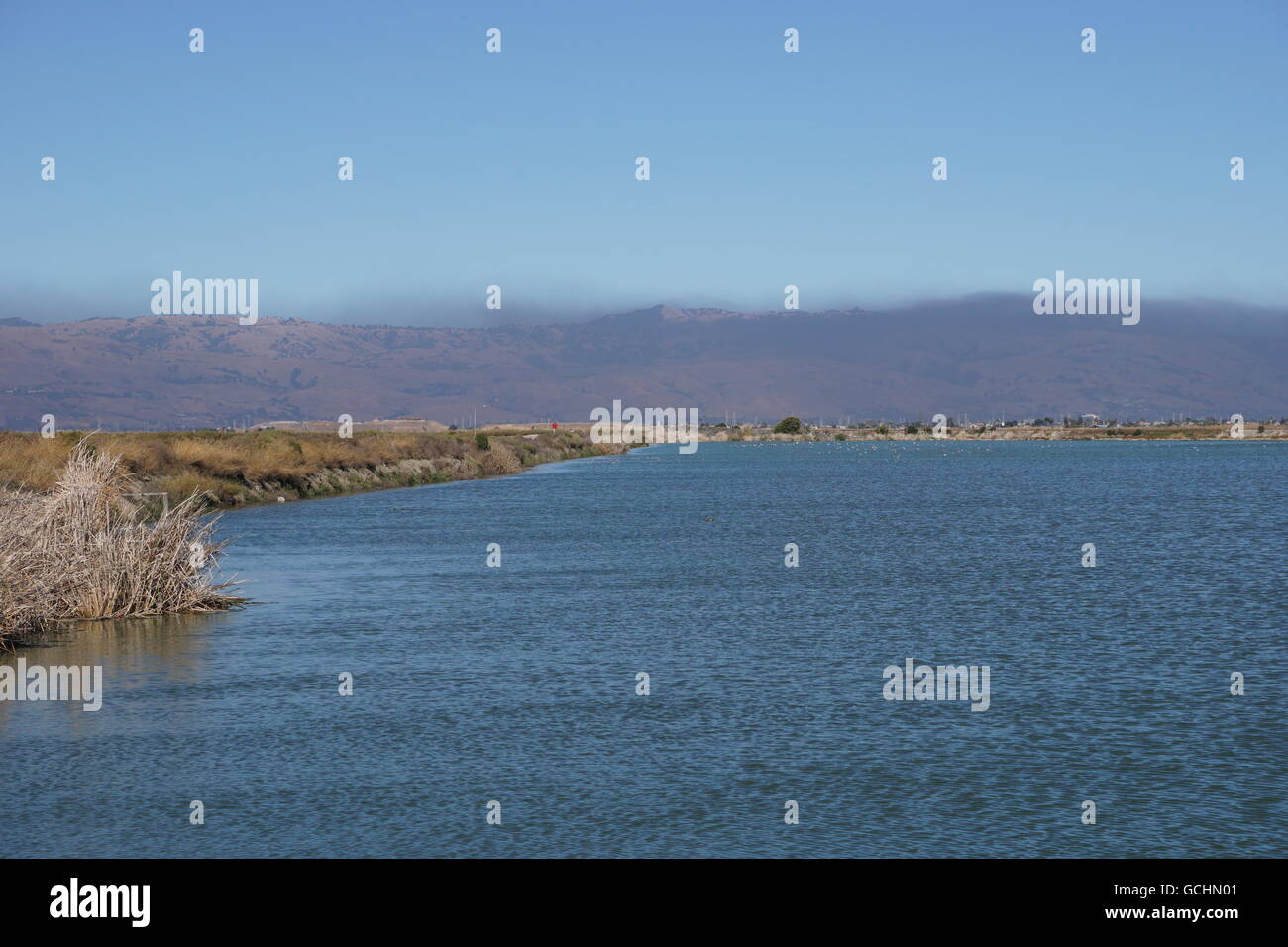 Smoke cloud in the east and south bay area from plastics recycling ...