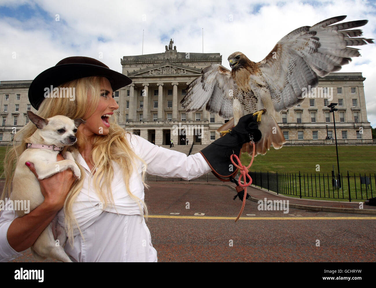 Game Fairs High Resolution Stock Photography and Images - Alamy