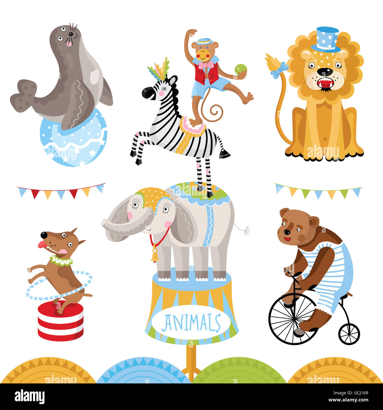 Circus animals perform tricks Stock Photo - Alamy