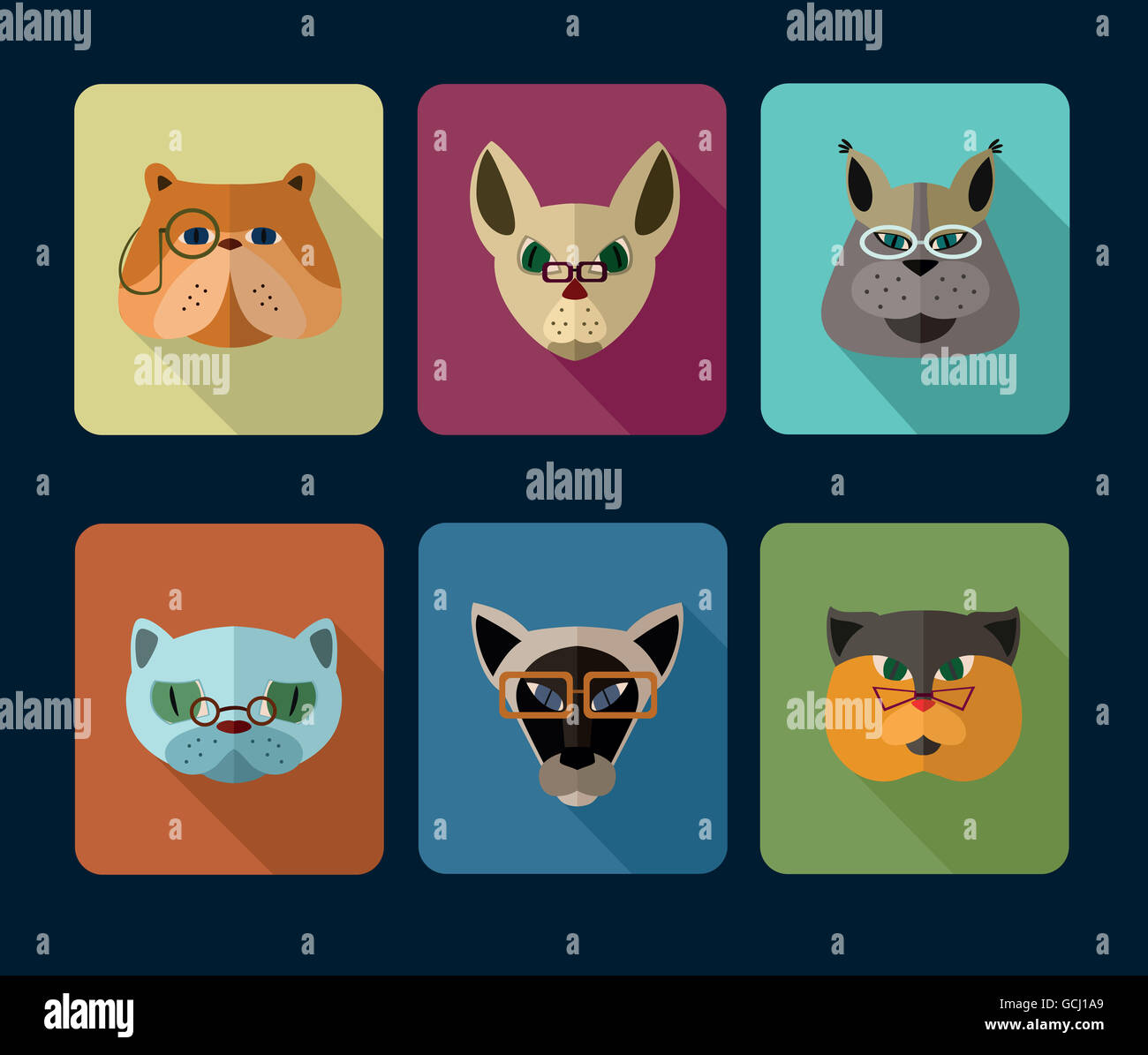 Cats avatar icon set Stock Photo - Alamy