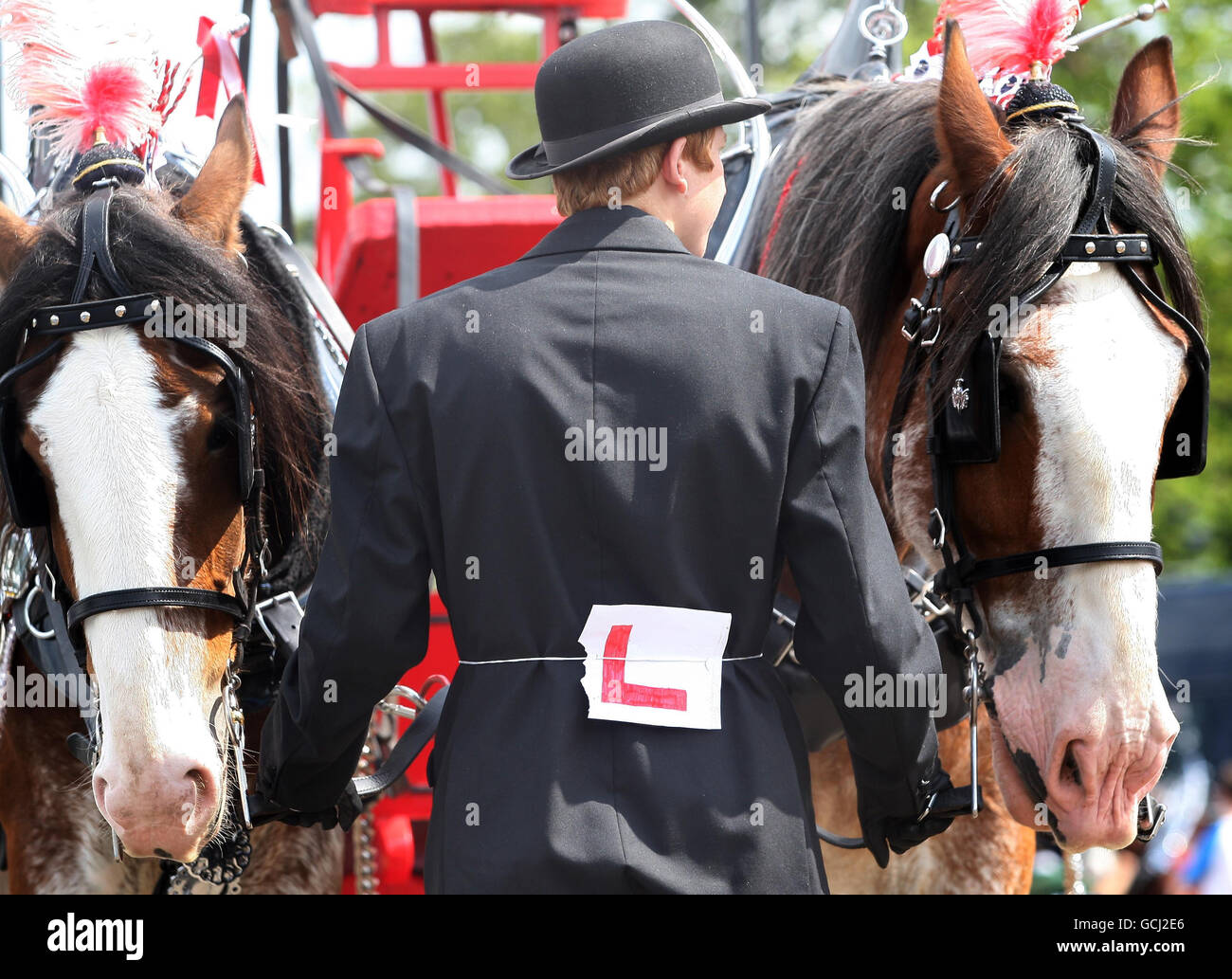 Royal Highland Show Stock Photo - Alamy