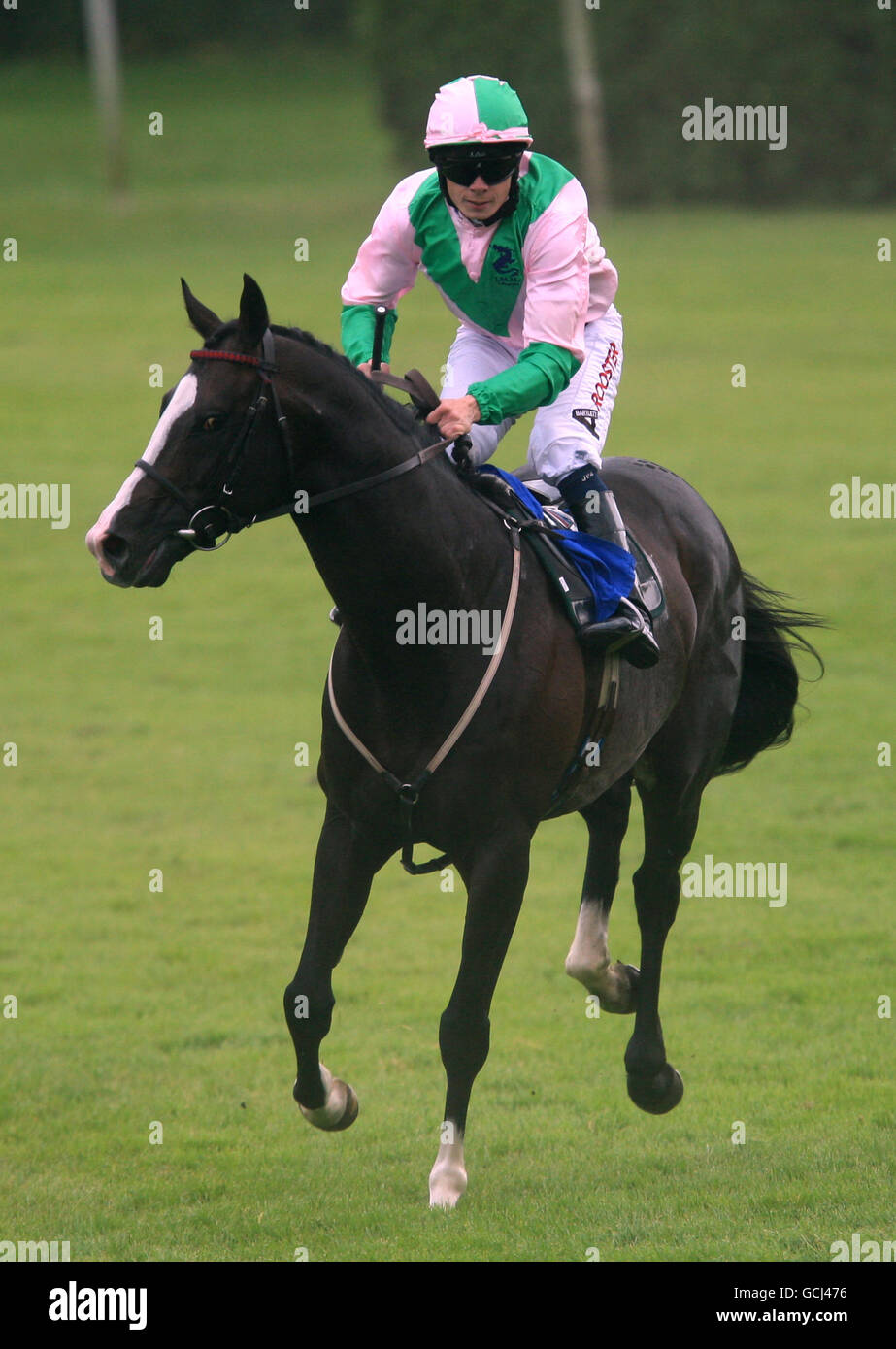 Horse Racing - Nottingham Racecourse Stock Photo - Alamy