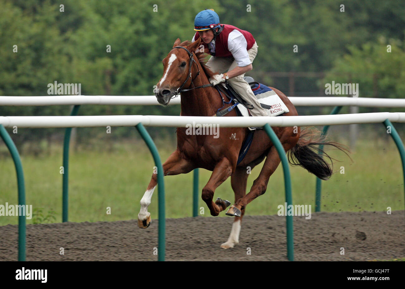 Horse Racing - Global Sprint Challenge Gallops - Newmarket Racecourse ...