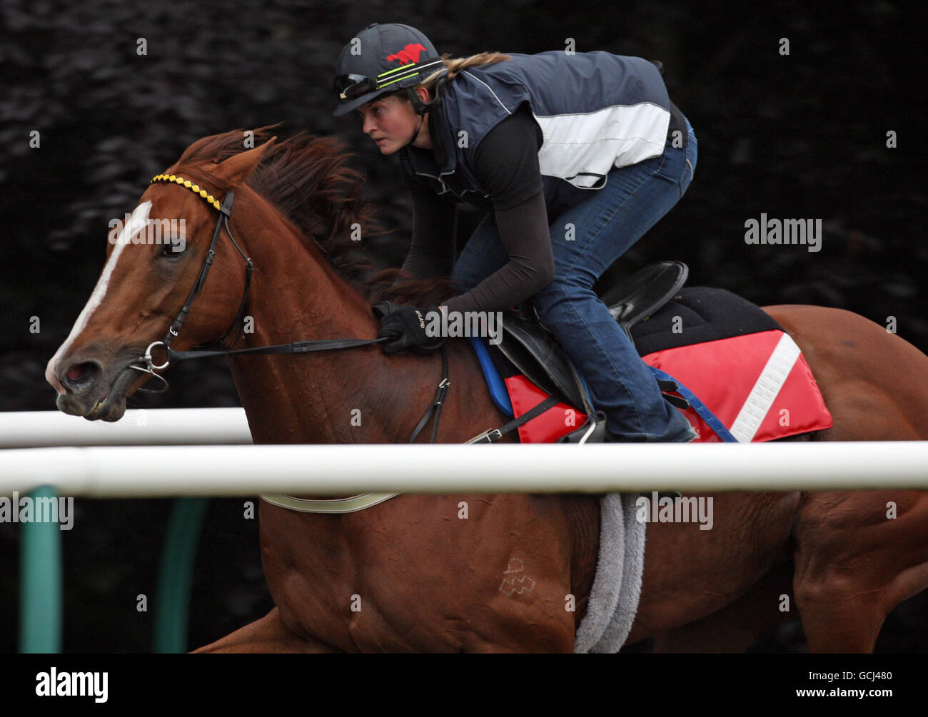 Horse Racing - Global Sprint Challenge Gallops - Newmarket Racecourse ...