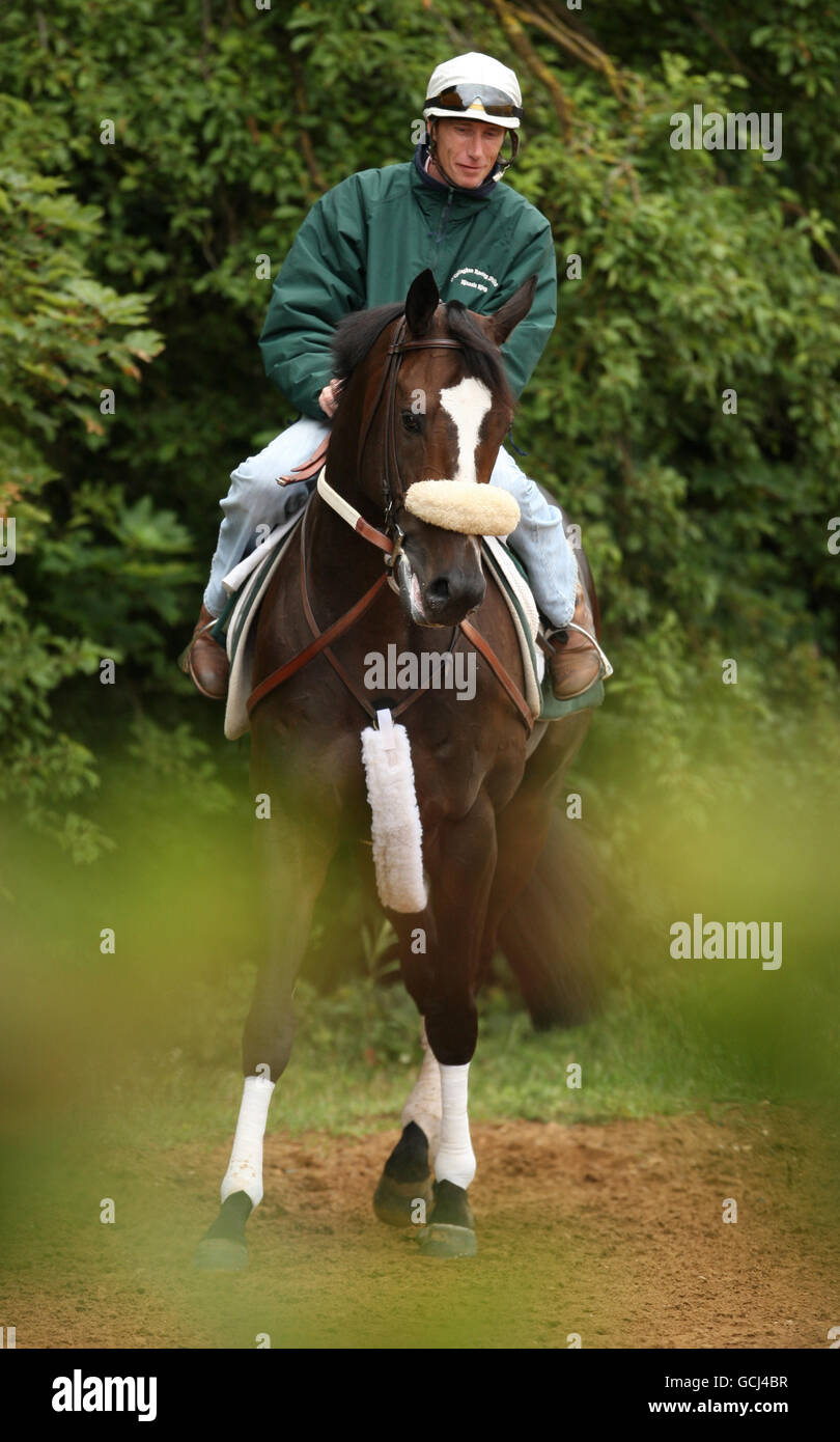 Horse Racing - Global Sprint Challenge Gallops - Newmarket Racecourse ...