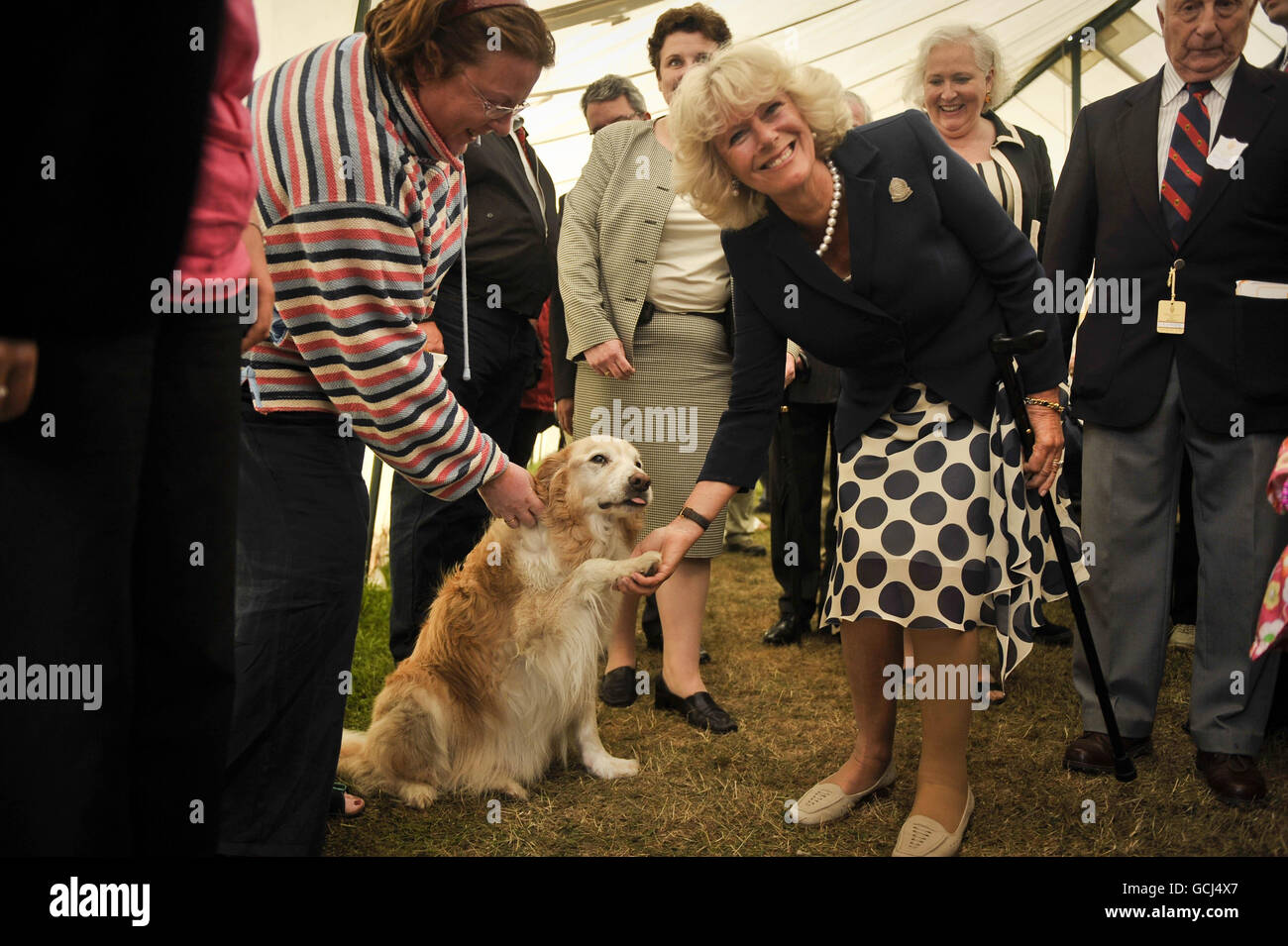 Royal Cornwall show Stock Photo - Alamy