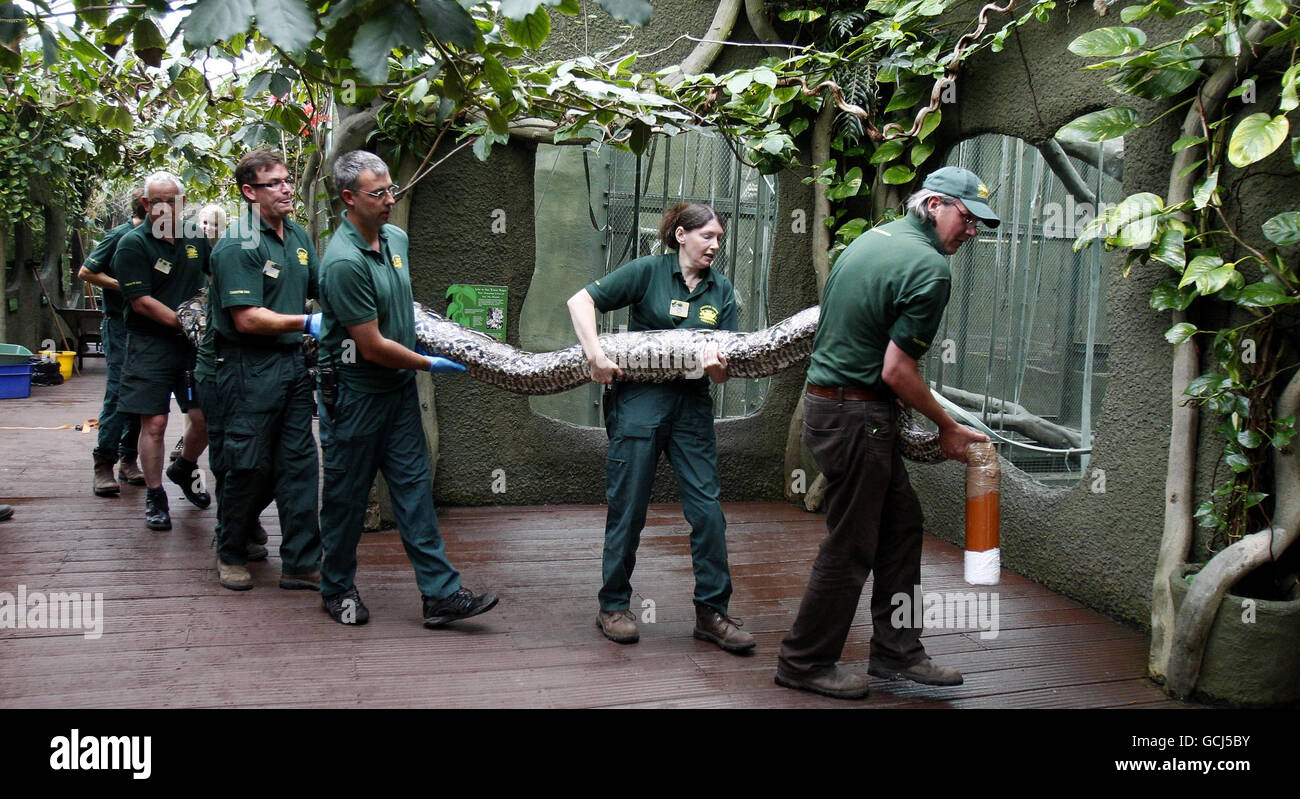 Zoo Uniform High Resolution Stock Photography and Images - Alamy