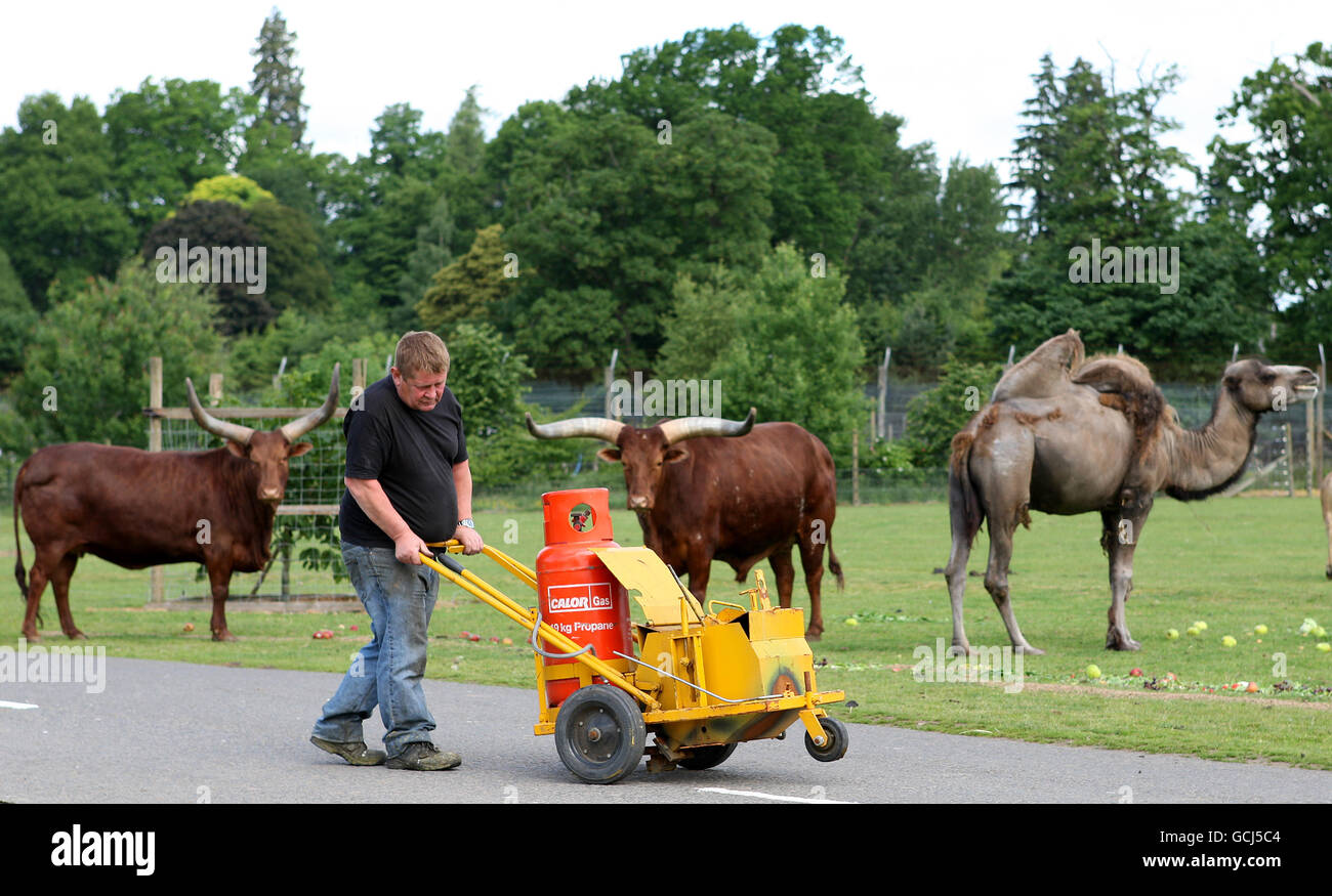 Gaughan High Resolution Stock Photography and Images - Alamy