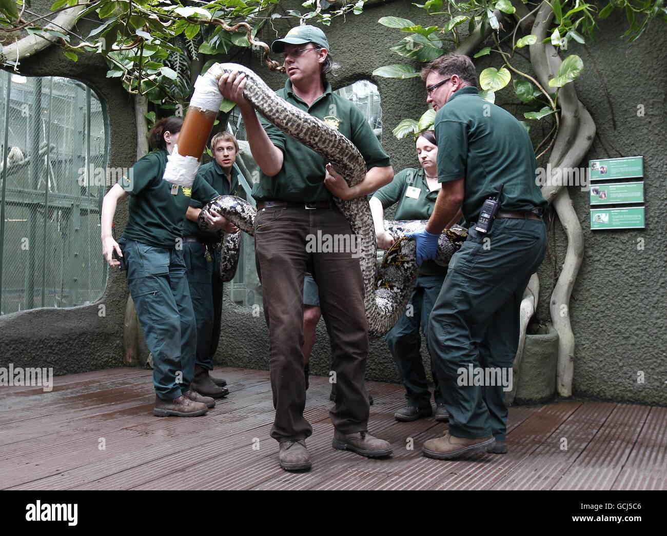 Animal checks at chester zoo hi-res stock photography and images - Alamy