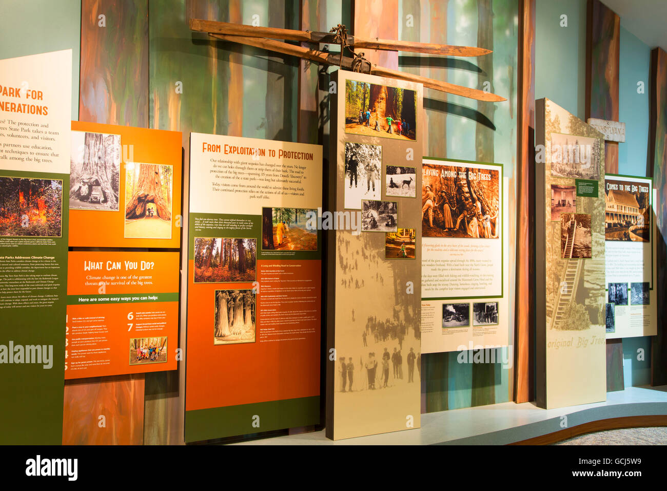Visitor Center display, Calaveras Big Trees State Park, Ebbetts Pass ...