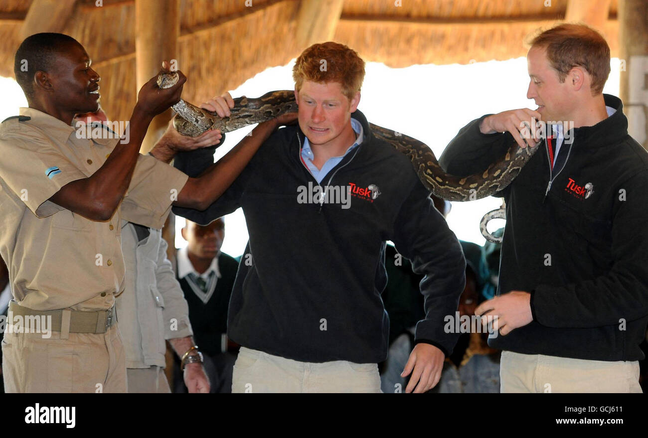 Prince Harry and Prince William pose with a rock python during a visit ...