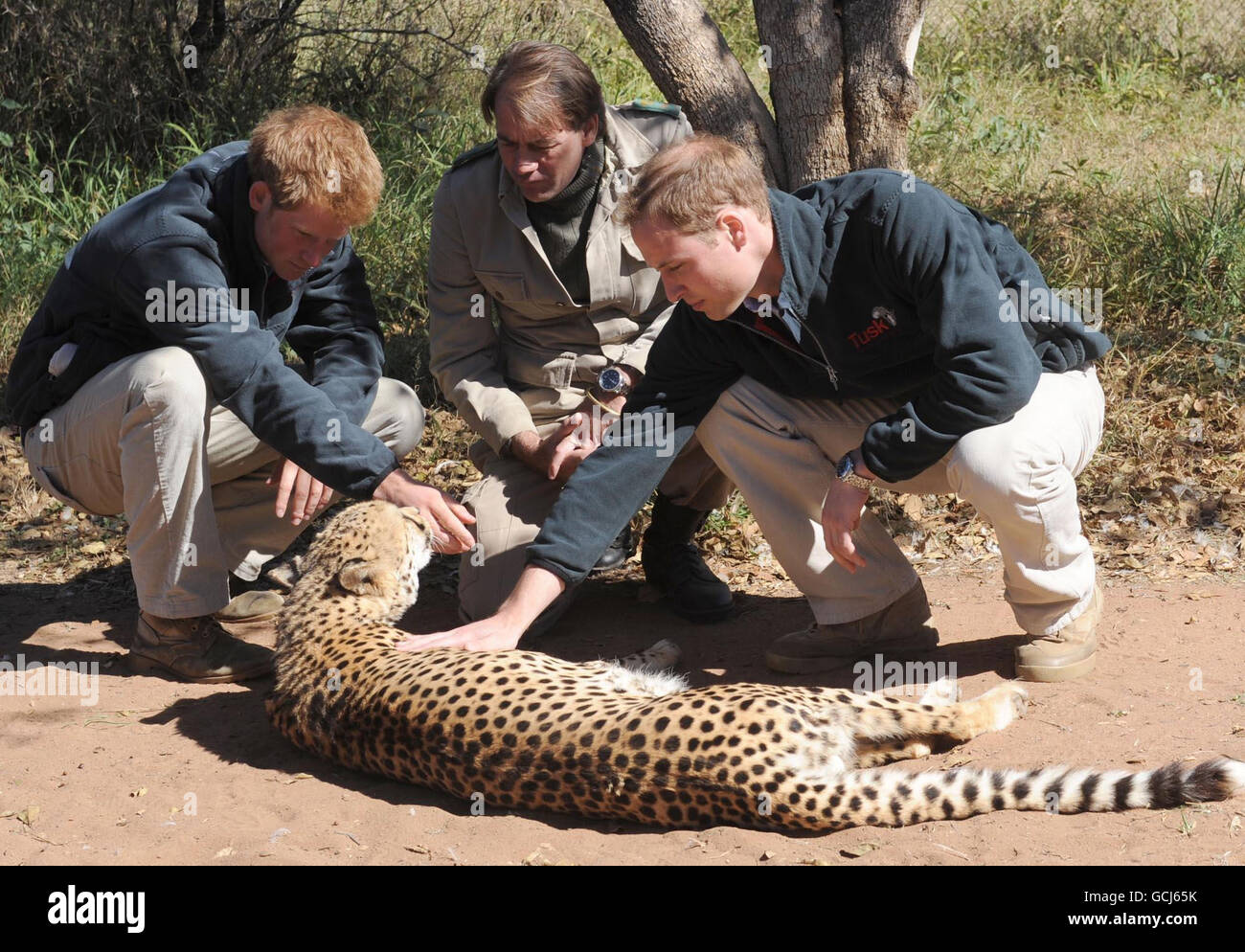 Prince Harry and Prince William join park manager Neil Whitson as they ...