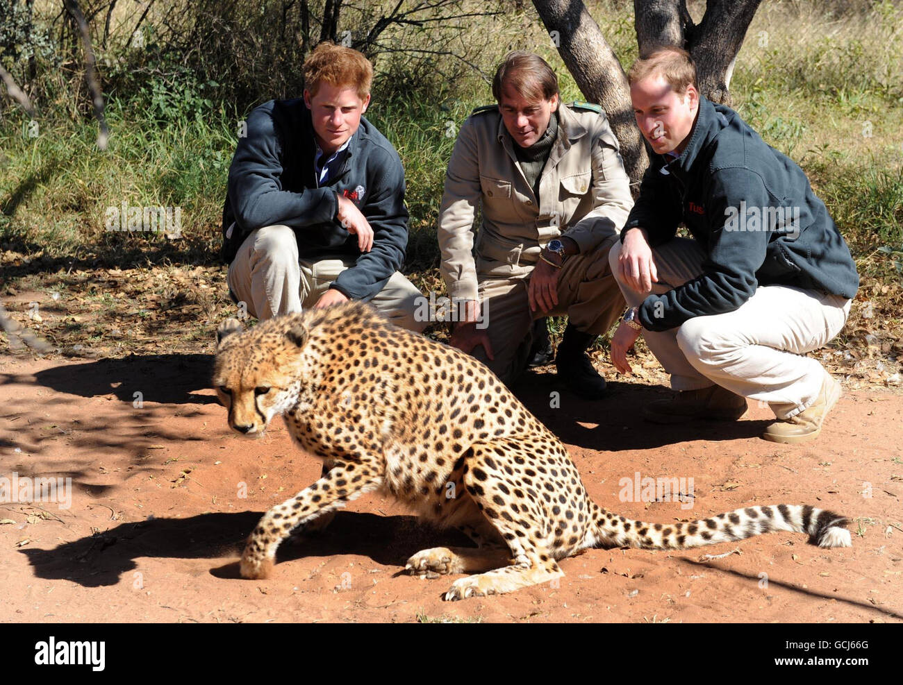 Prince Harry and Prince William join park manager Neil Whitson look at ...