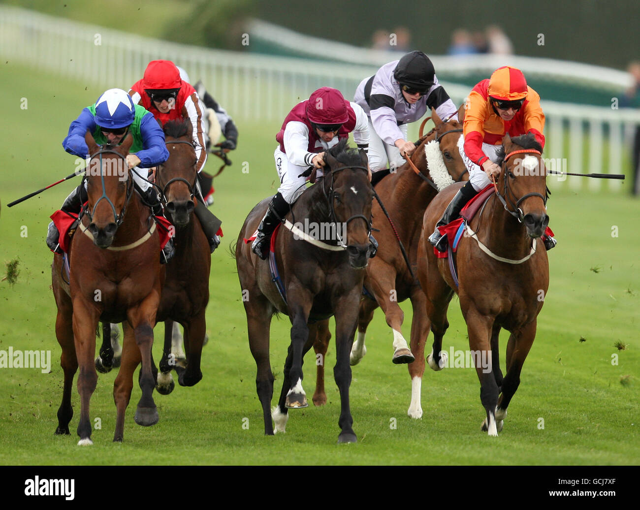 Horse Racing - Totepool Irish Day - Sandown Park Racecourse Stock Photo ...