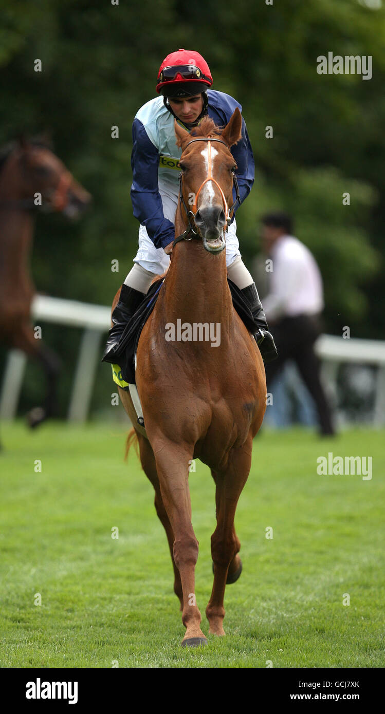 Horse Racing - Totepool Irish Day - Sandown Park Racecourse. Jeninsky ...