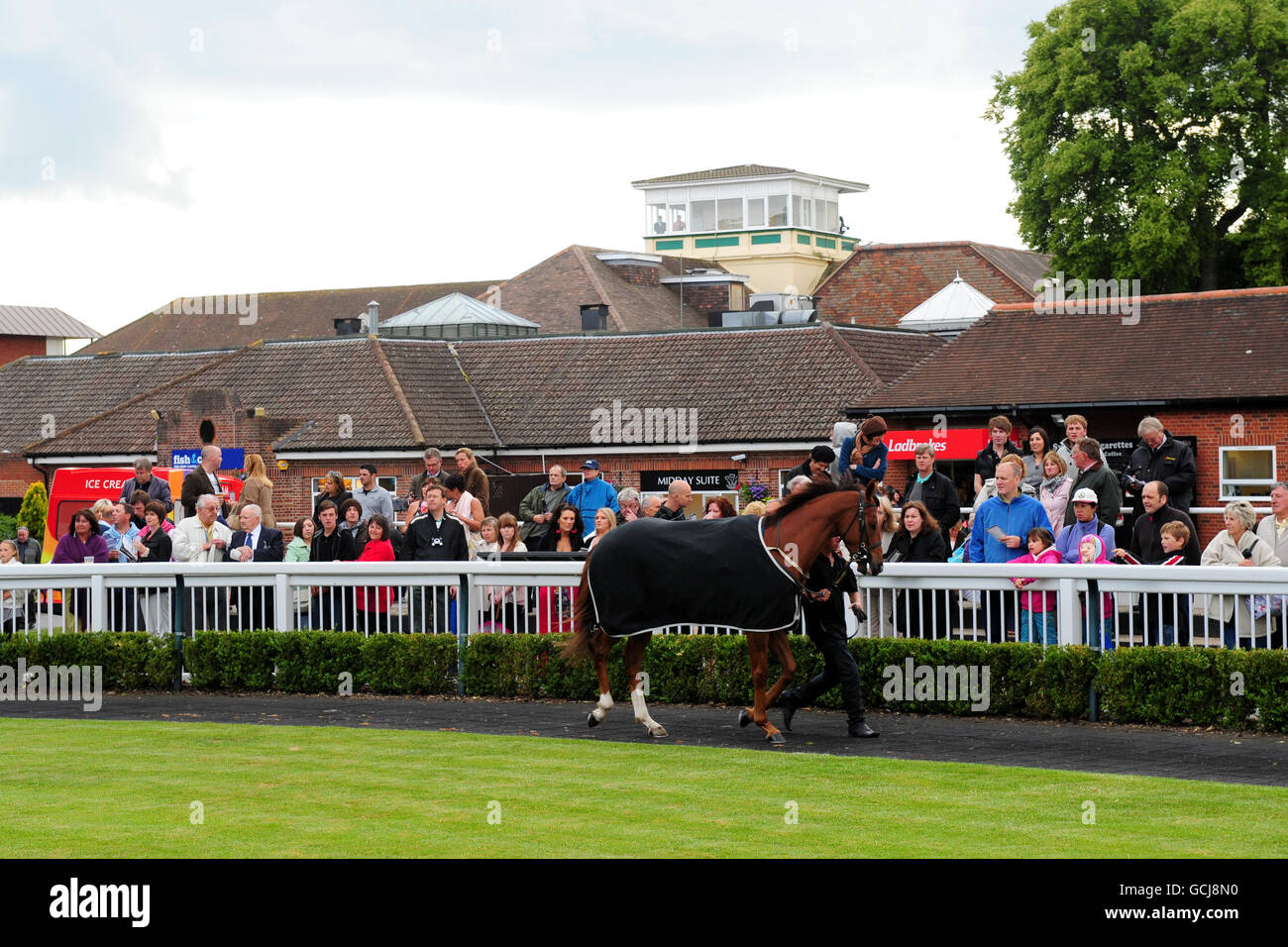Racegoers take in the atmosphere at the parade ring at Lingfield ...