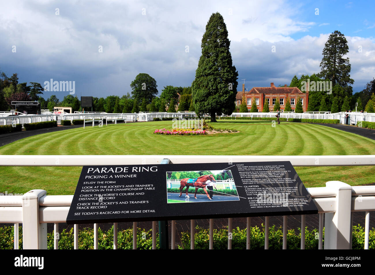 General view of the parade ring at Lingfield Racecourse Stock Photo - Alamy