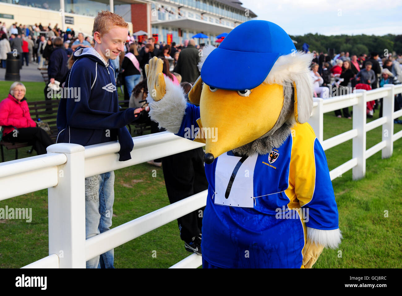Mascots hands hi-res stock photography and images - Alamy