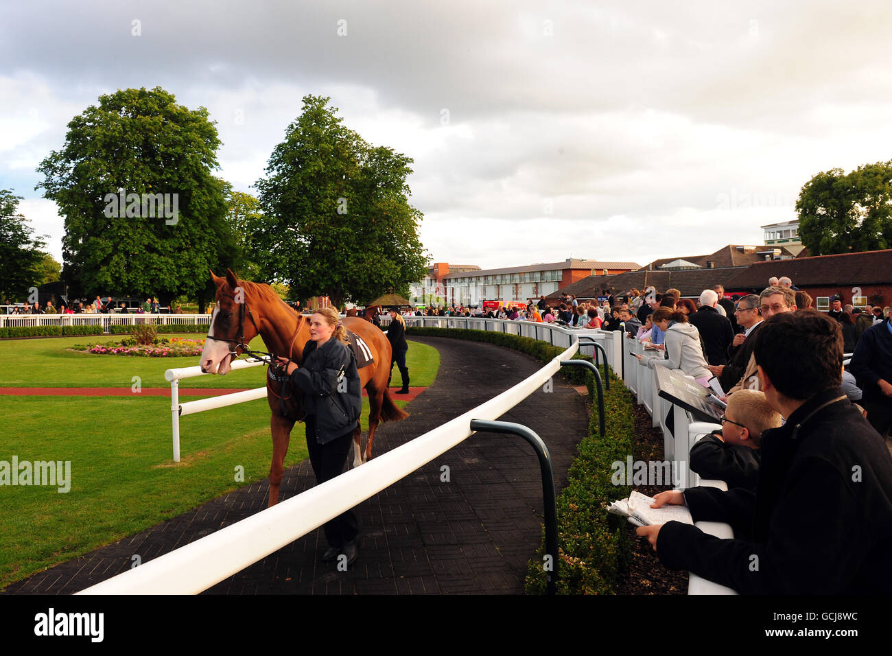 Horse racing racing and music night lingfield park racecourse hi-res ...