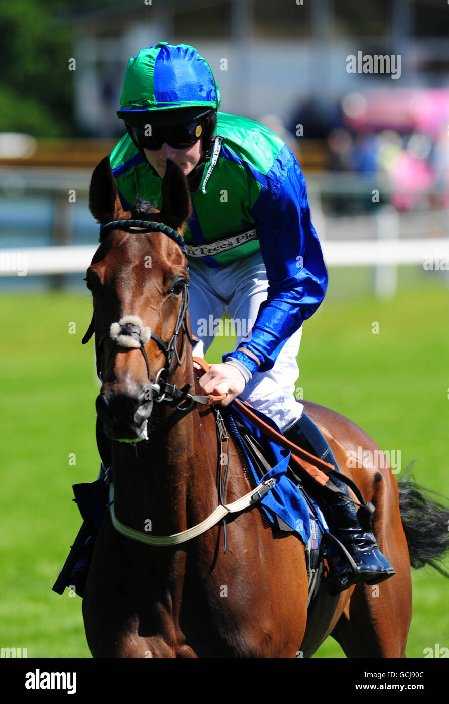 Horse Racing - National Hunt - Worcester Racecourse. Jockey Charlie ...